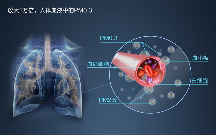 警惕！PM0.3才是空气污染的“头号杀手”